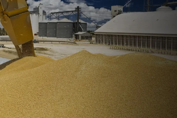 Viterra | What we do - Agricultural products