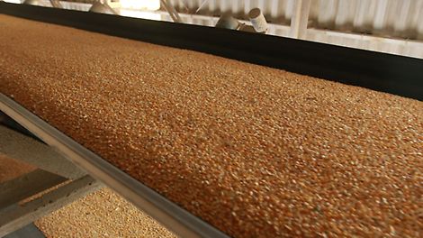 Pulses