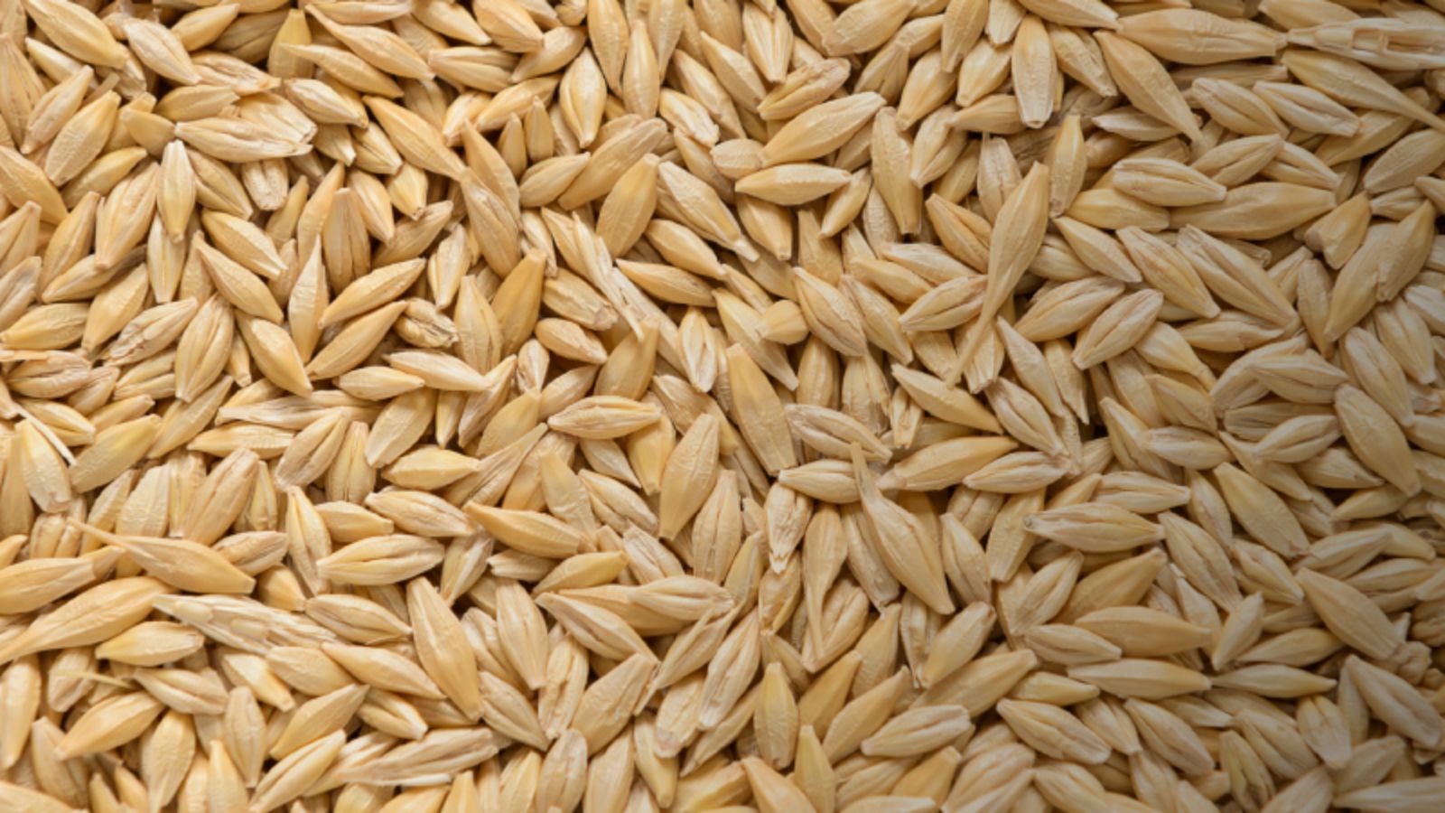 Viterra | World’s leading grain marketers